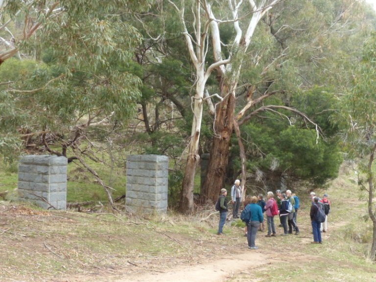noel young mt alex pic 1 | Friends of the Box-Ironbark Forests