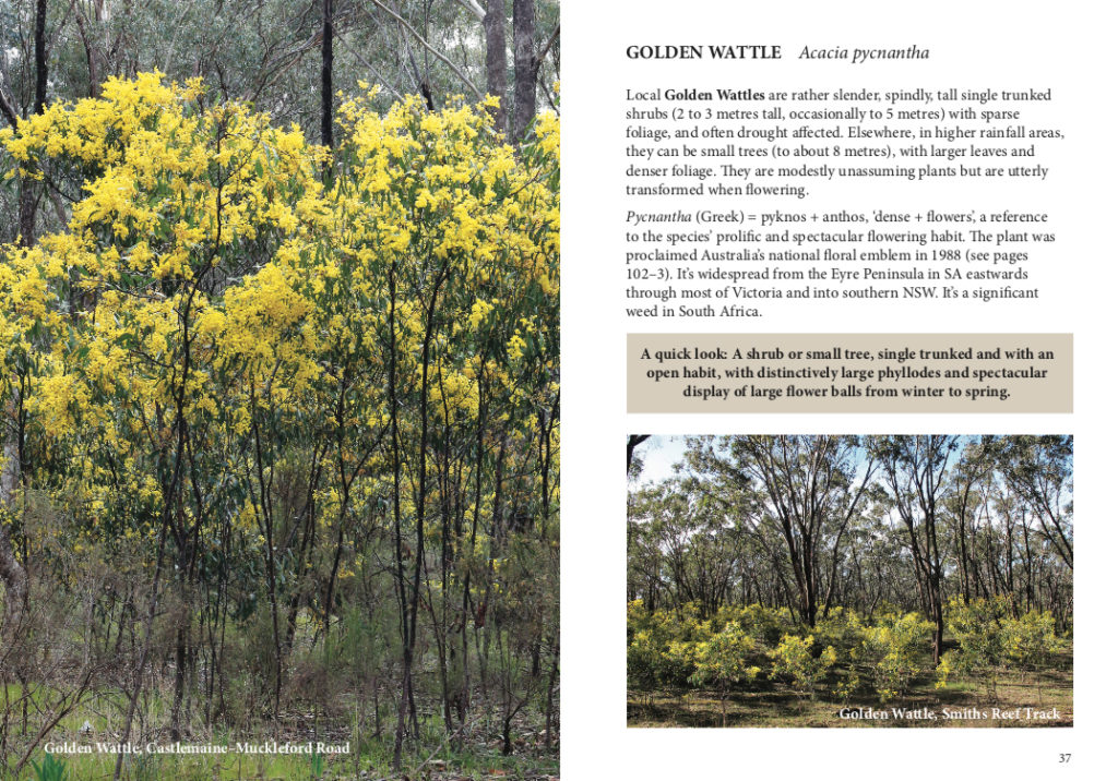 Reminder: Wattle book launch next Saturday | Friends of the Box ...