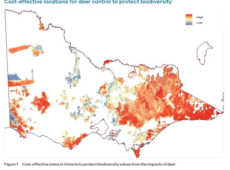 deer map | Friends of the Box-Ironbark Forests