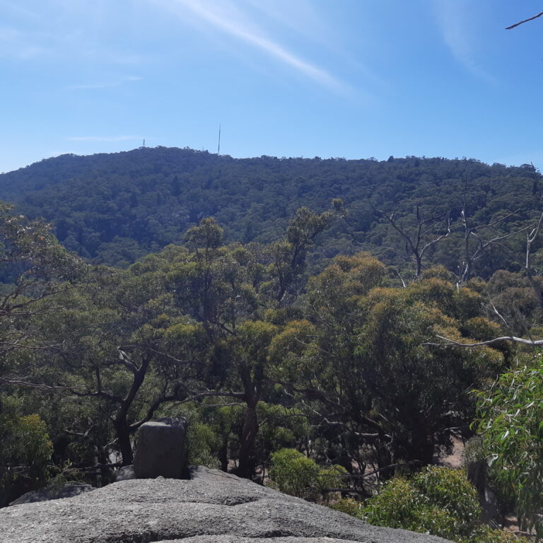 Friends of the Box-Ironbark Forests | Mount Alexander Region