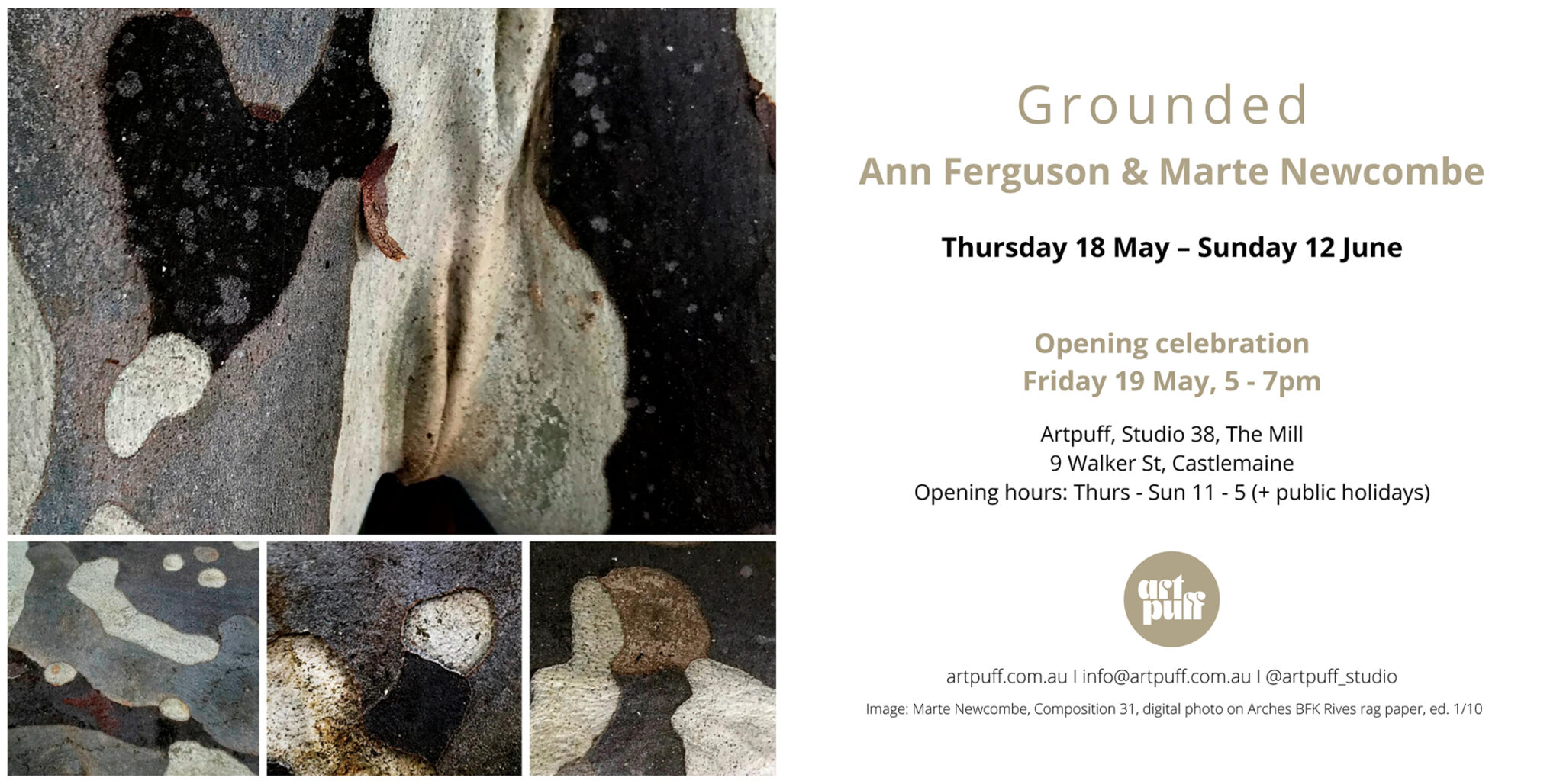 Friends of the Box-Ironbark Forests | Mount Alexander Region | Page 2