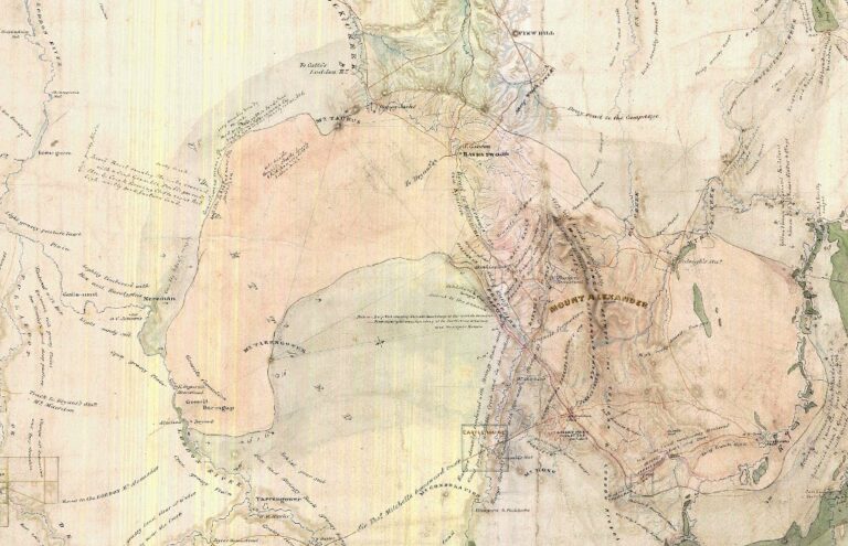 Friends of the Box-Ironbark Forests | Mount Alexander Region