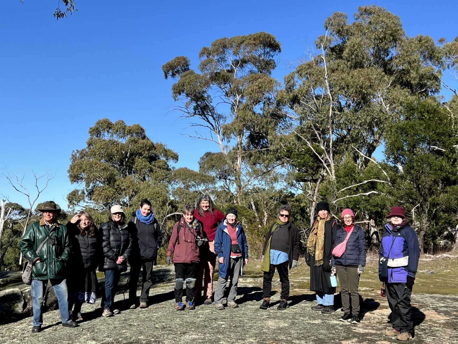 Short FOBIF walk in Whiskey Gully | Friends of the Box-Ironbark Forests